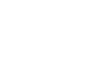 Zenithoptimedia Logo